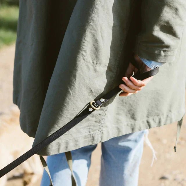 Dog Leads – Sparkly Tails