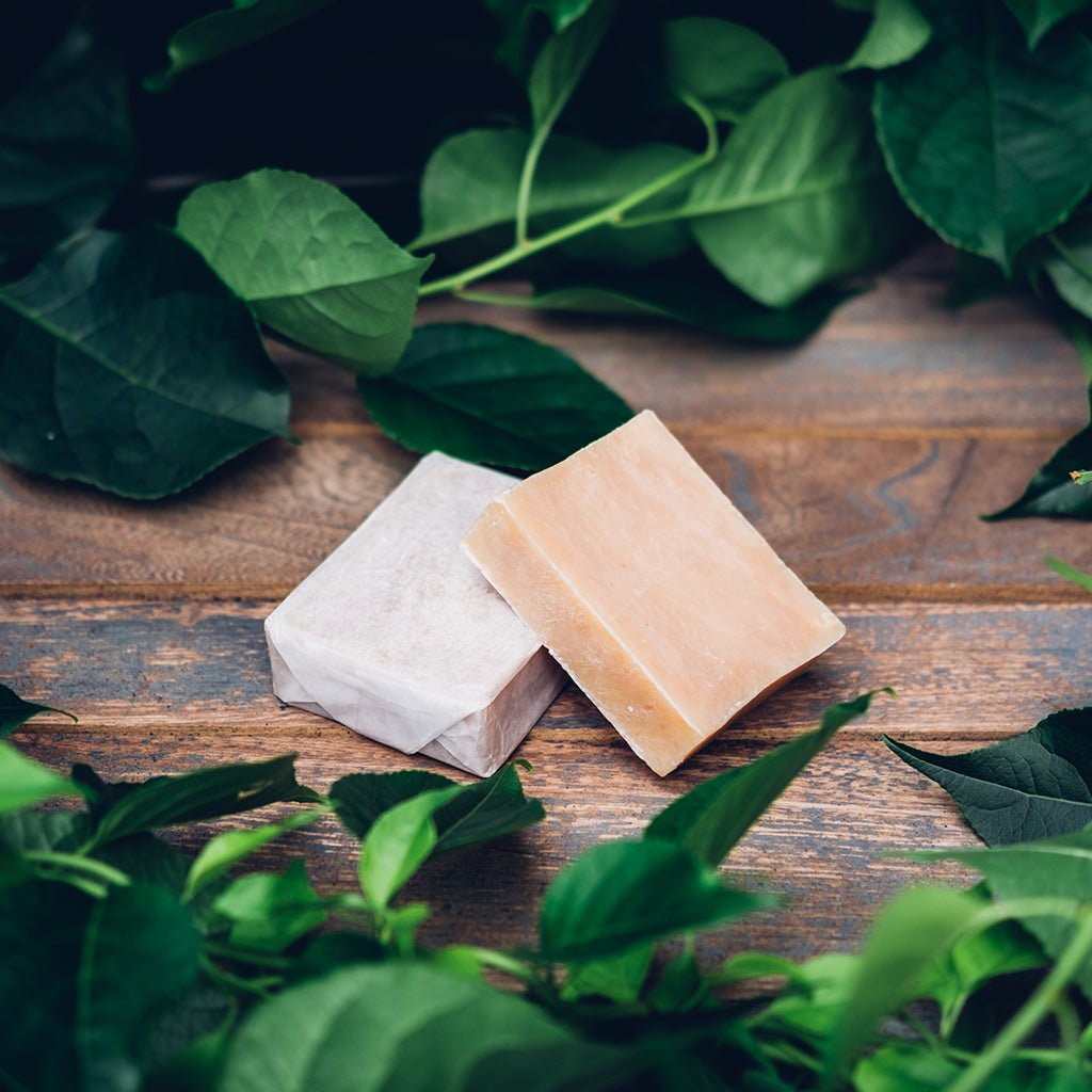 Natural Dog Shampoo And Conditioner – Sparkly Tails