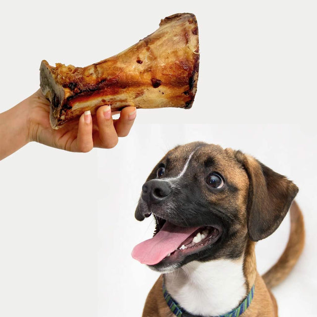 British Beef Marrow Bones – Sparkly Tails