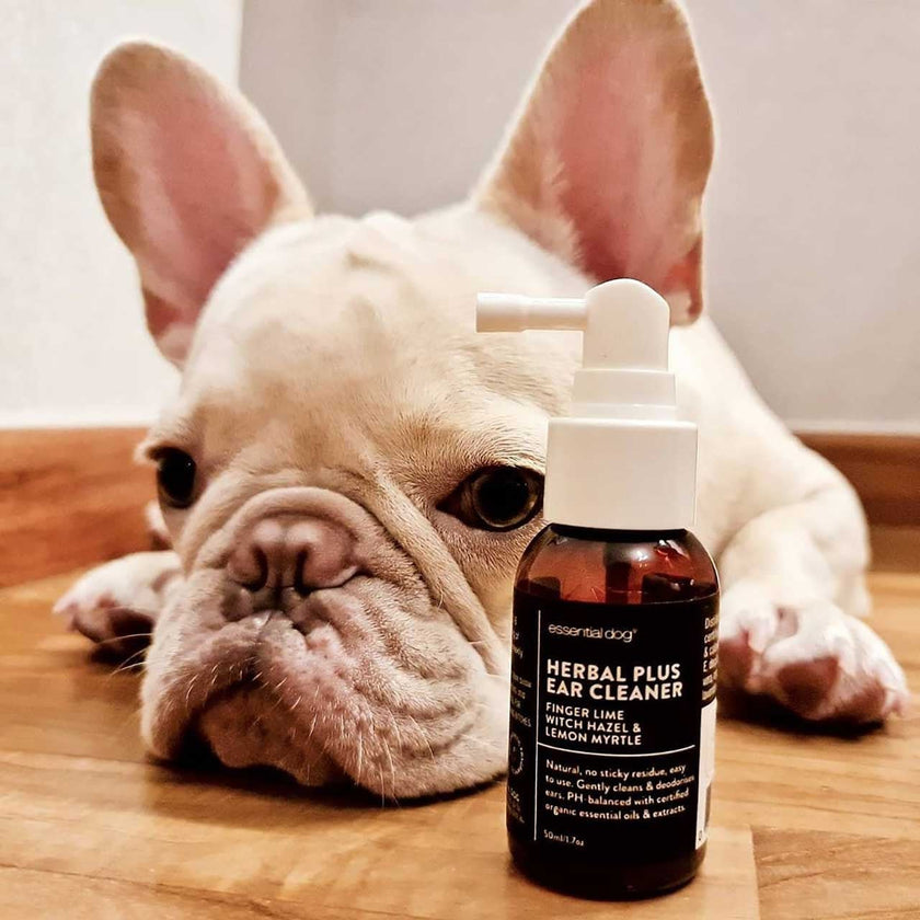 Herbal Dog Ear Cleaner, Essential Dog – Sparkly Tails