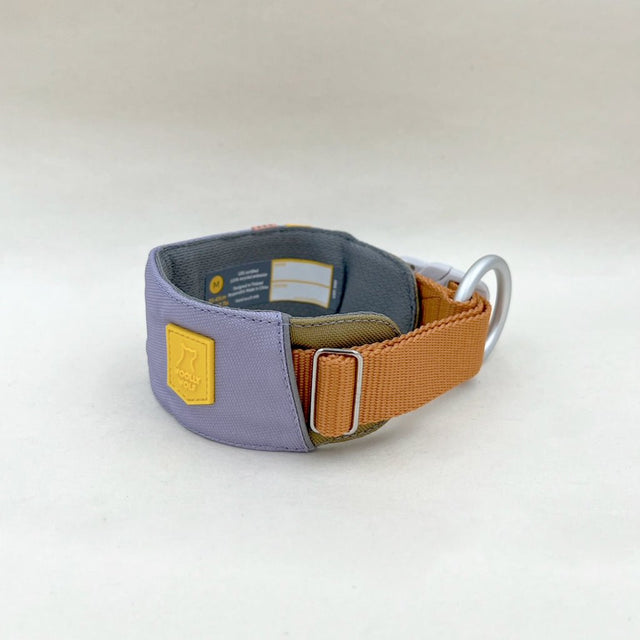 Dog Collar | Hardwearing | Alpha 360 | Recycled Bottles | Woolly Wolf ...